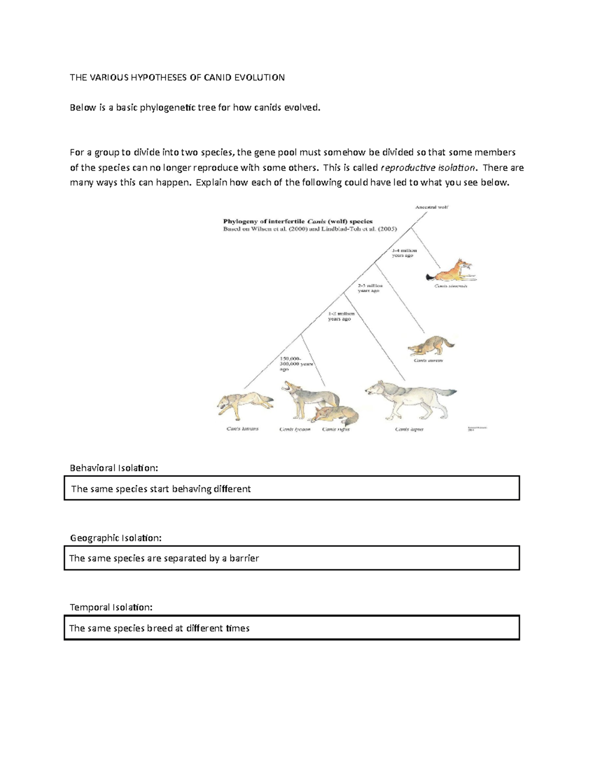 Canid Evolution Activity: Analyzing the Phylogenetic Relationships ...