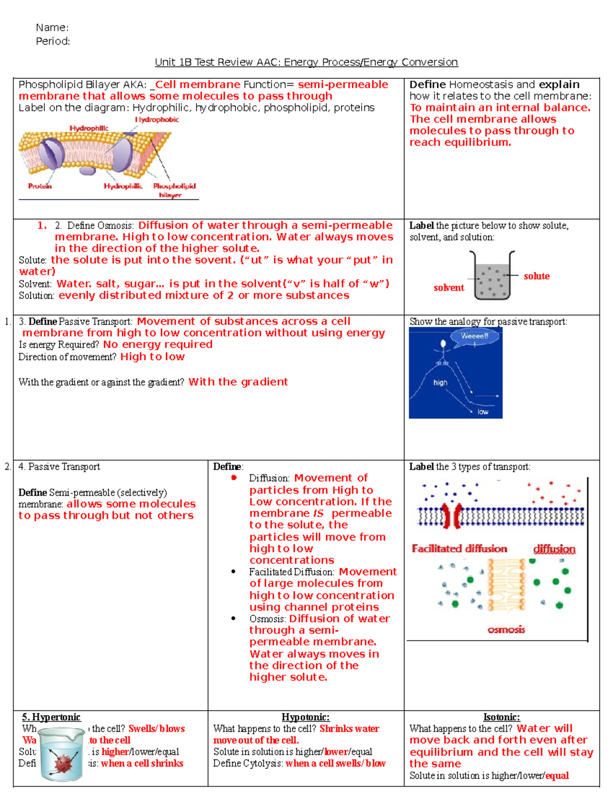 Unit 1B Test Review AAC: Energy Processes & Cell Membrane Functions ...