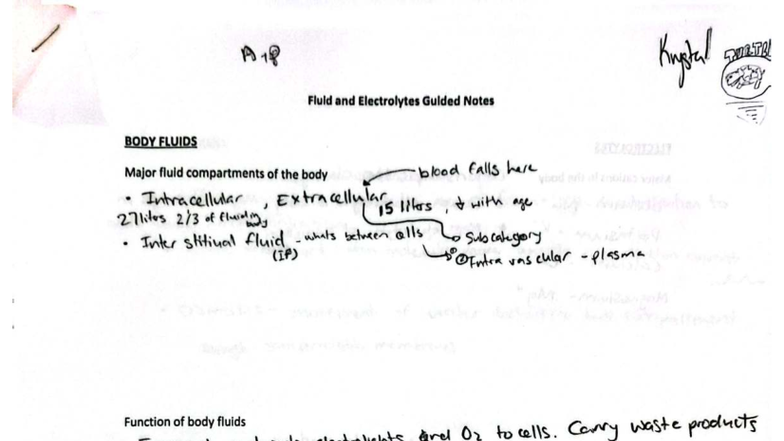 A18 Kngstal Fluid and Electrolytes Guided Notes: Body Fluids Overview ...
