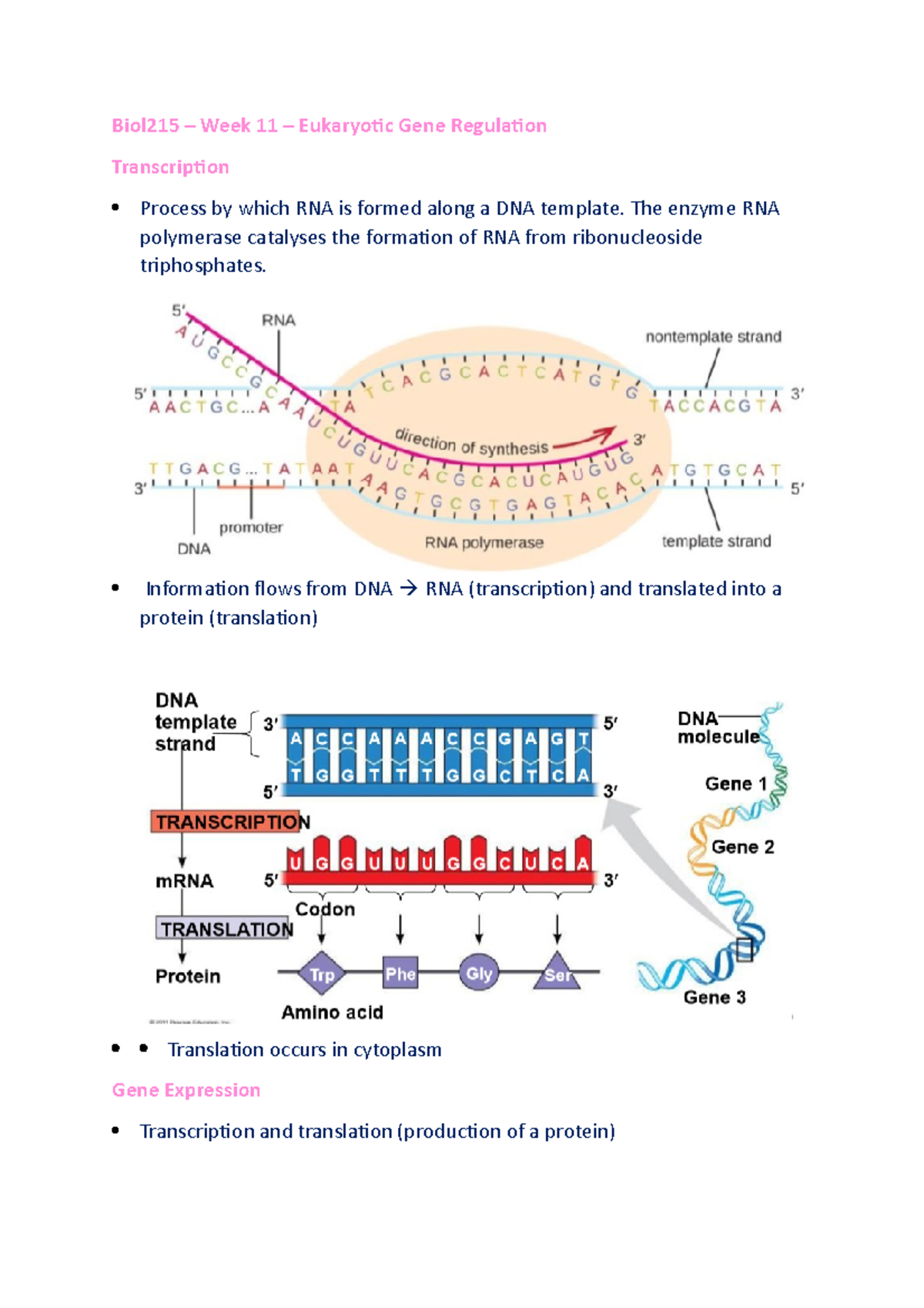 Week 11 - Eukaryotic Gene Regulation - Biol215 – Week 11 – Eukaryotic ...