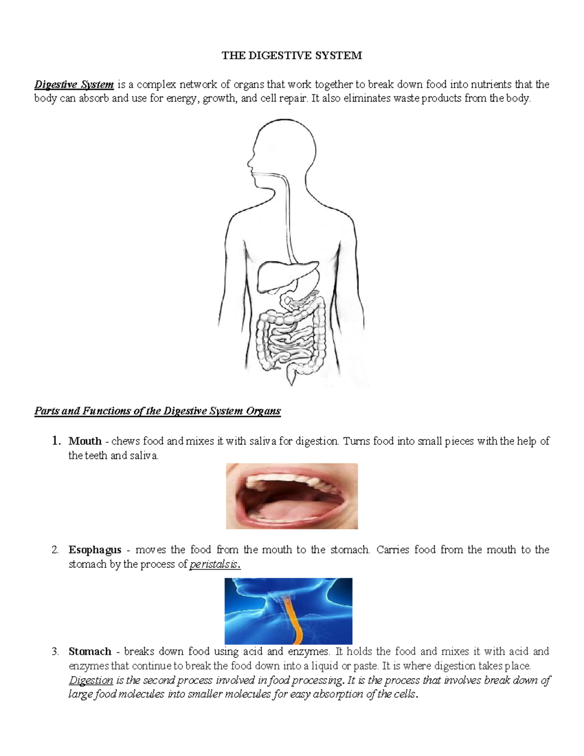 DIGESTIVE SYSTEM MODULE: Functions, Disorders, and Health Practices ...