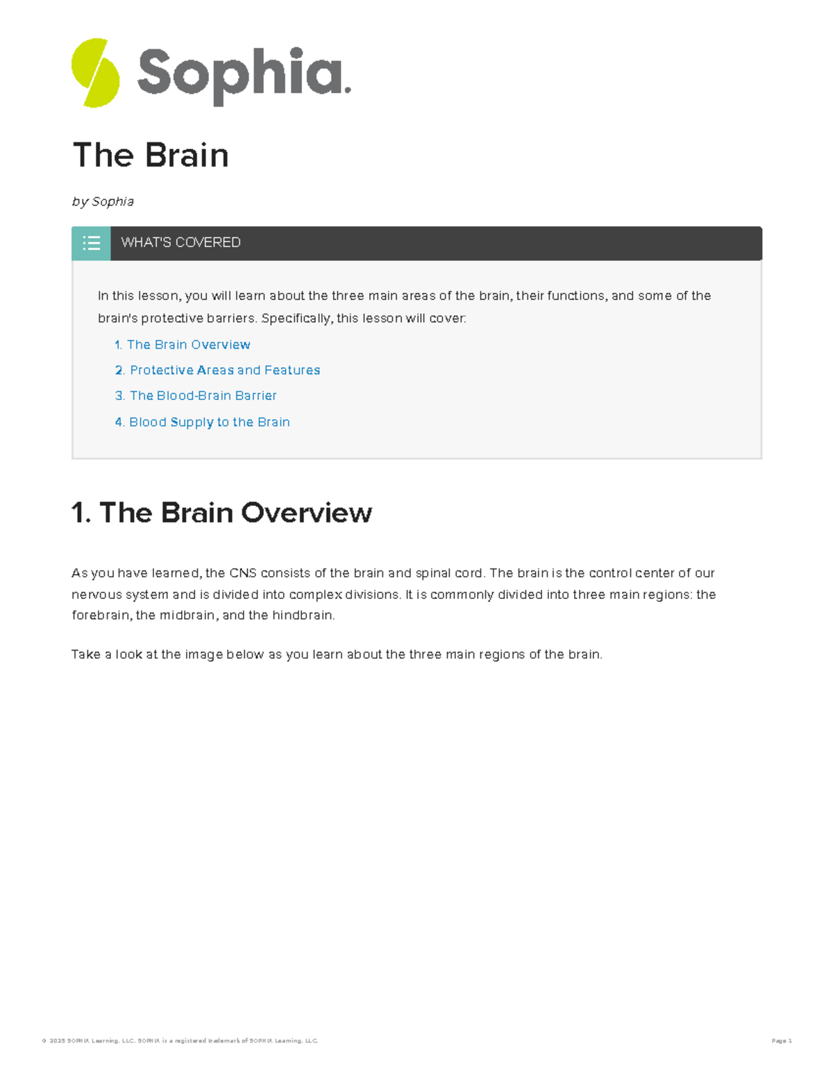 Understanding the CNS: Brain Regions, Meninges & Blood Supply - Studocu