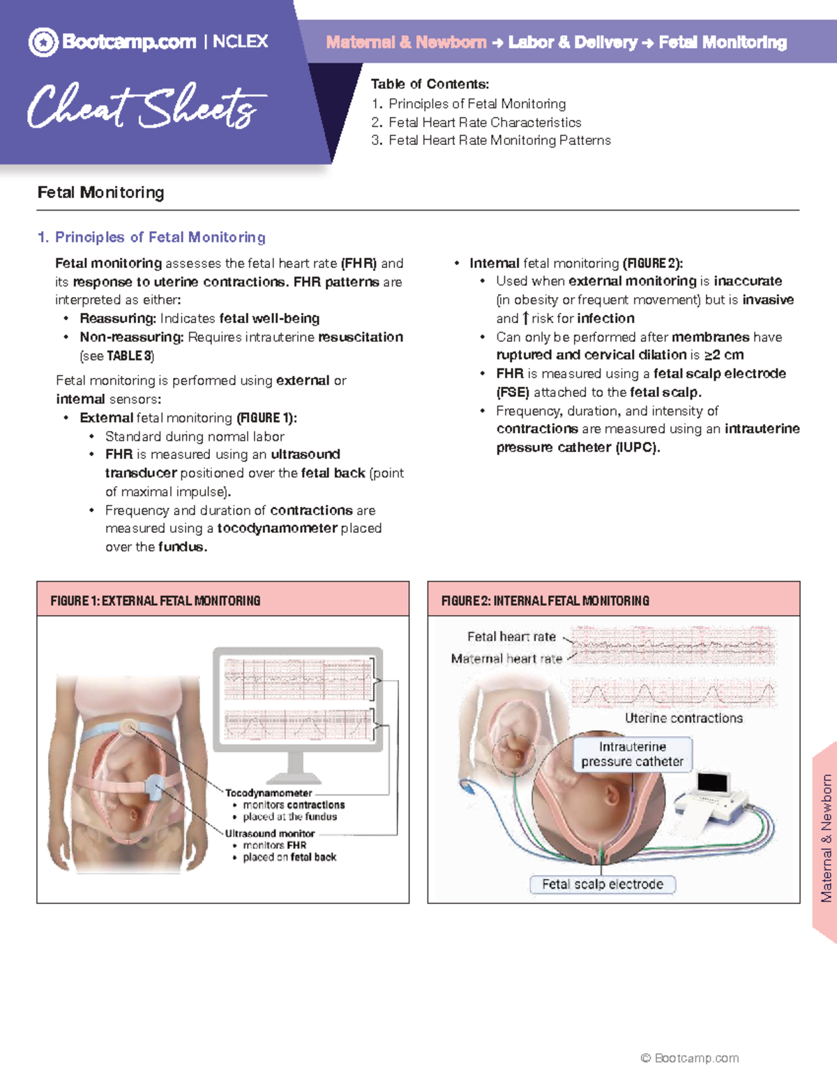 Fetal Monitoring Principles and Patterns: Maternal Newborn Insights ...