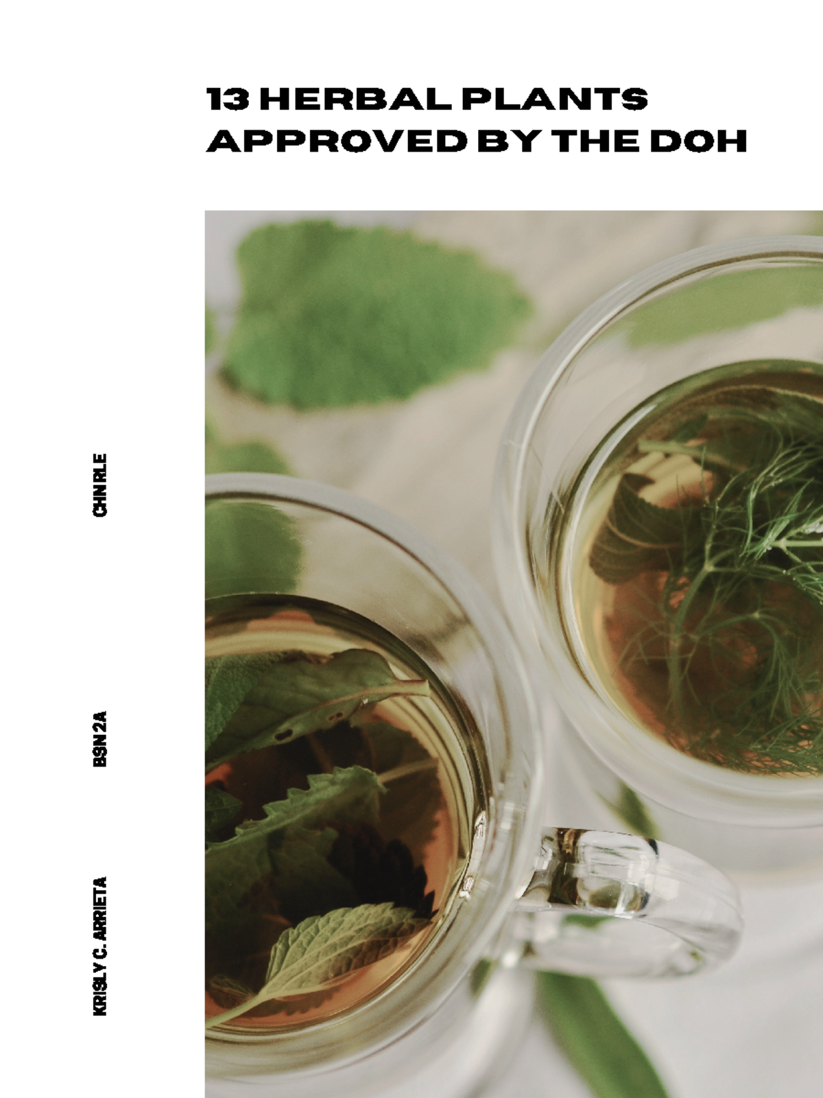 Herbal Plant Portfolio (CHN RLE) - Remedies and Procedures Guide - Studocu