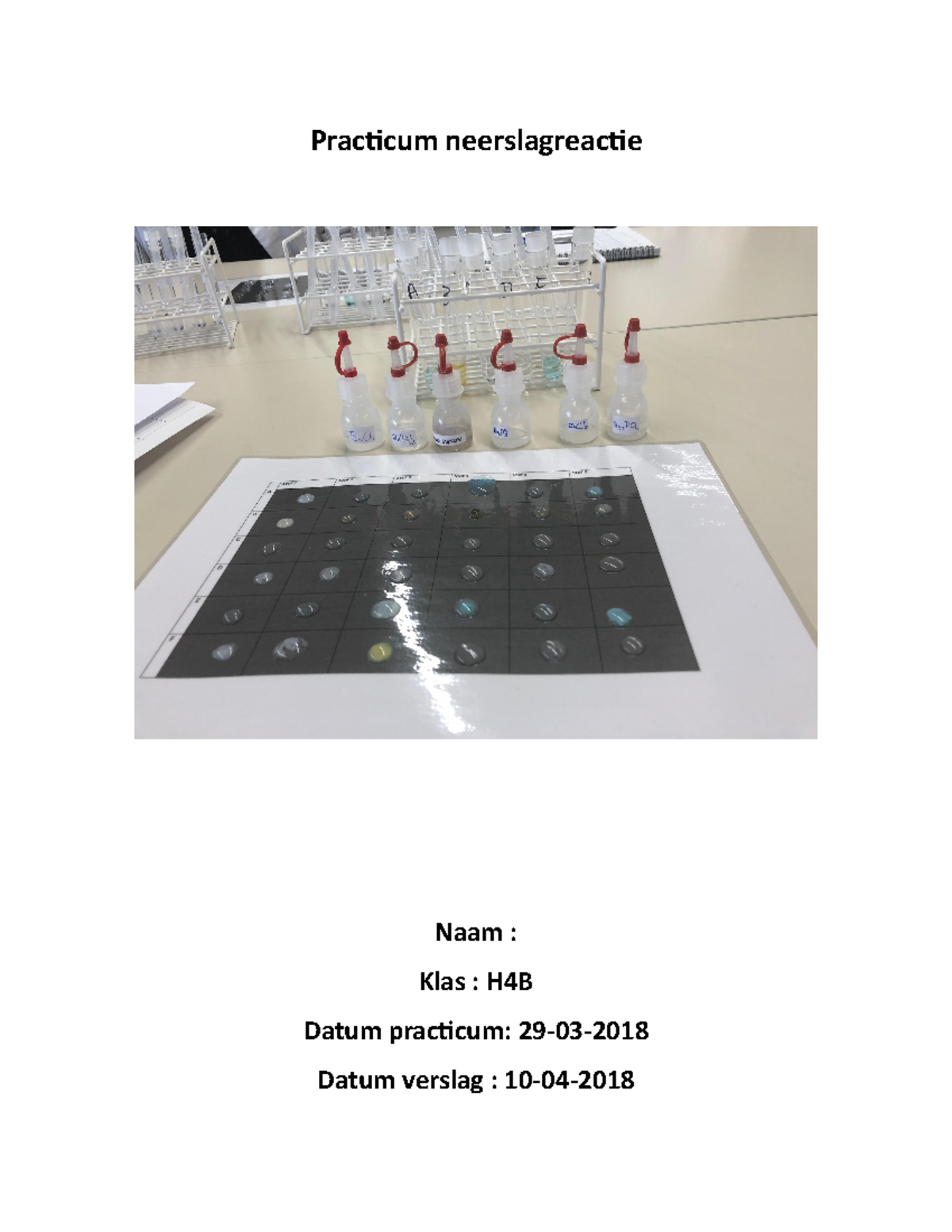Practicum Neerslagreactie H4B - Verslag en Resultaten - Studeersnel