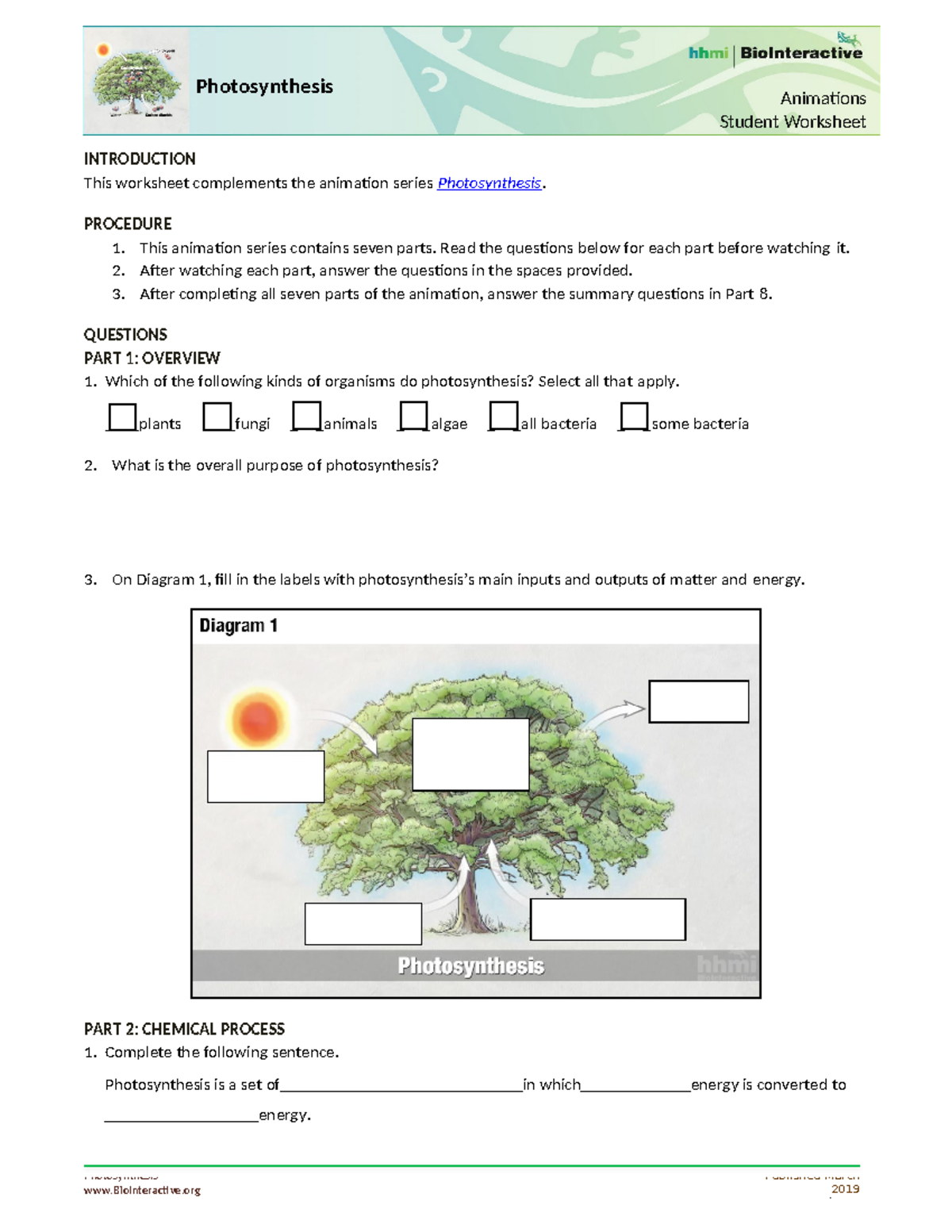 Photosynthesis Student WS animation 1 - Photosynthesis BioInteractive ...