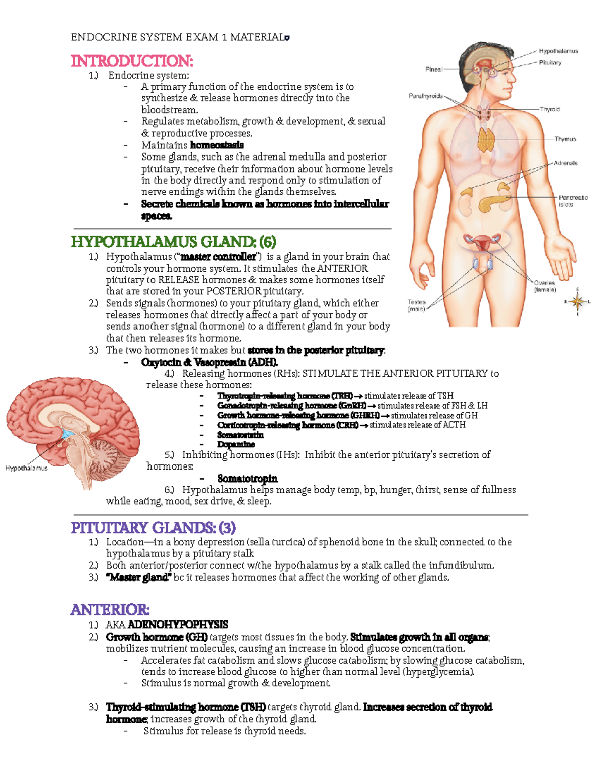 Endocrine System Study Guide Exam 1 - ENDOCRINE SYSTEM EXAM 1 MATERIAL♡ INTRODUCTION: 1 ...