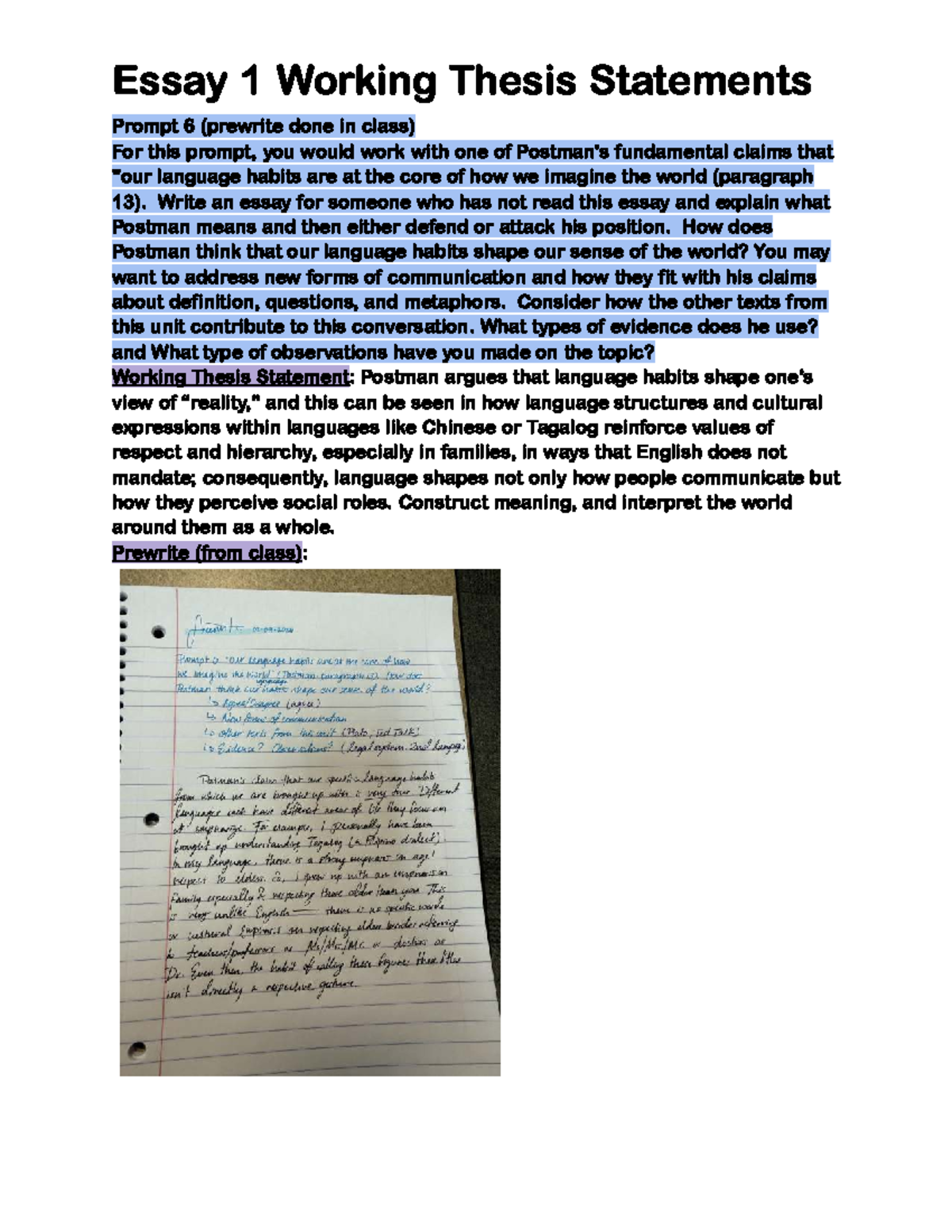 Essay 1: Working Thesis Statements on Language Habits and Perception ...