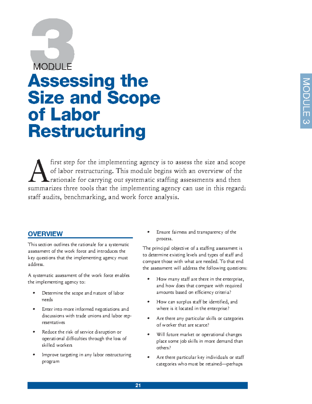 Module 3: Assessing Labor Restructuring in Infrastructure Reform ...