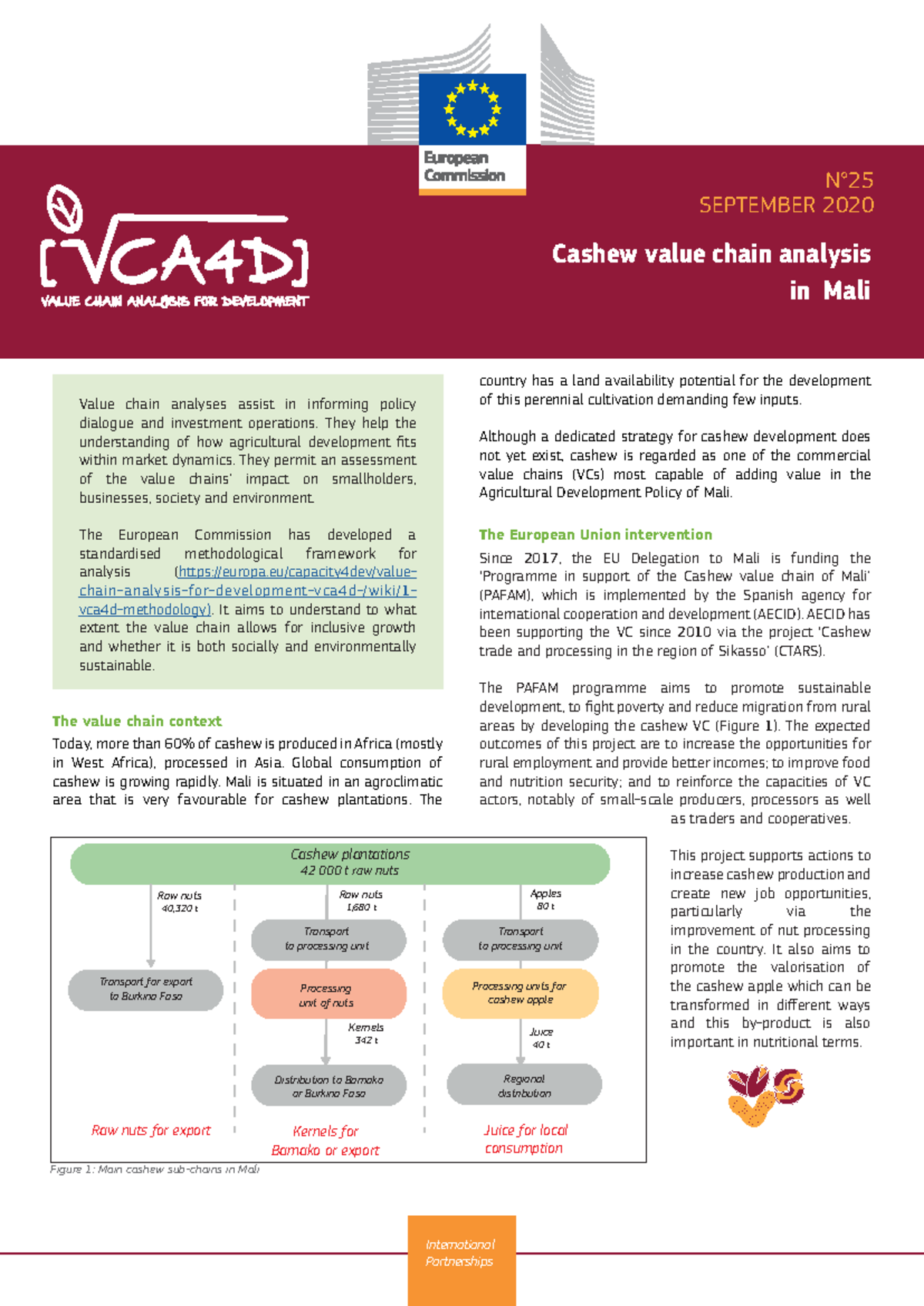 VCA4D 25- Mali cashew ENG - Cashew value chain analysis in Mali Value ...