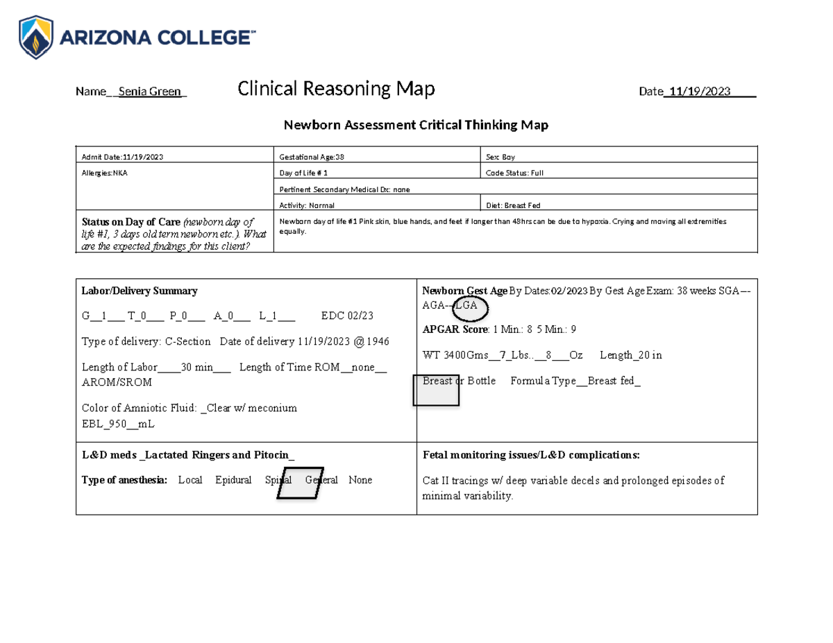 Critical Thinking Map: Newborn Assessment for NURS 101 Final Exam - Studocu
