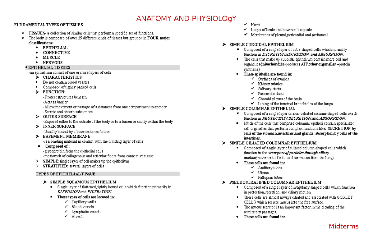 Tissues Notes - anatomy physiology part 1 - FUNDAMENTAL TYPES OF ...