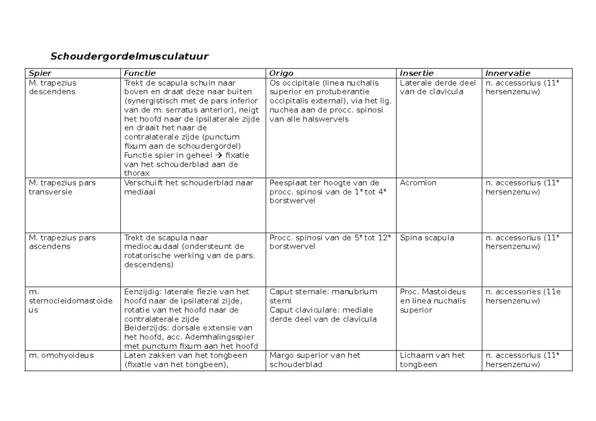 Schoudergordelmusculatuur: Anatomie en Functies van Spieren - Studeersnel