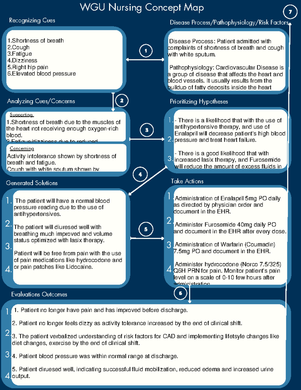 D444 Adult Health Concept Map: Disease Processes & Evaluations - Studocu