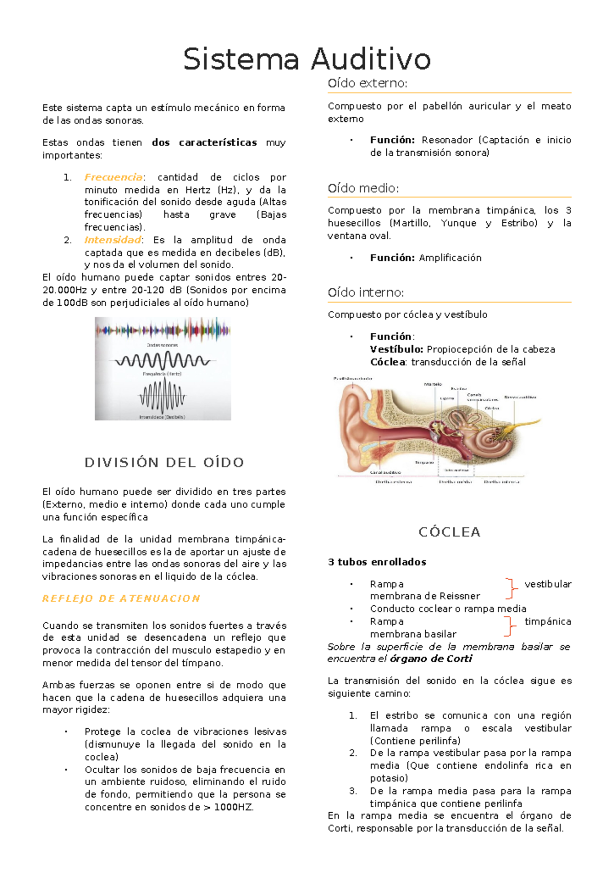 Aula 4 - Sistema auditivo, olfatorio y gustativo - Sistema Auditivo ...