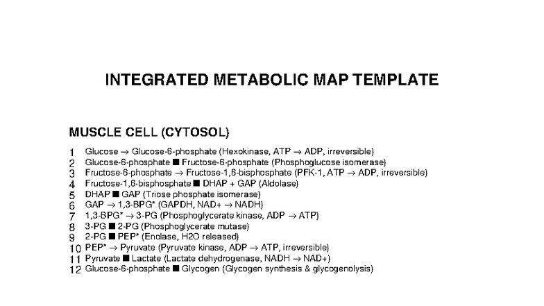 Integrated Metabolic Map Template: Muscle & Liver Cells - Studocu