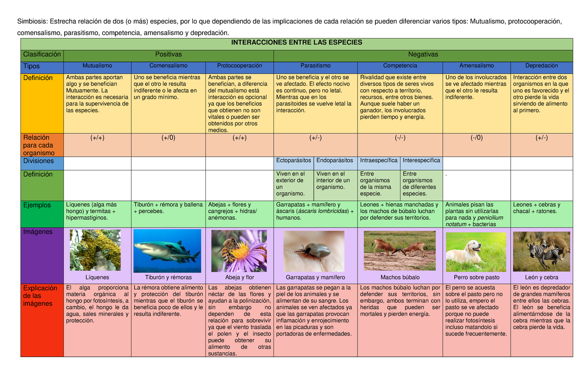 Cuadro Comparativo de Interacciones Ecológicas: Tipos y Definiciones ...