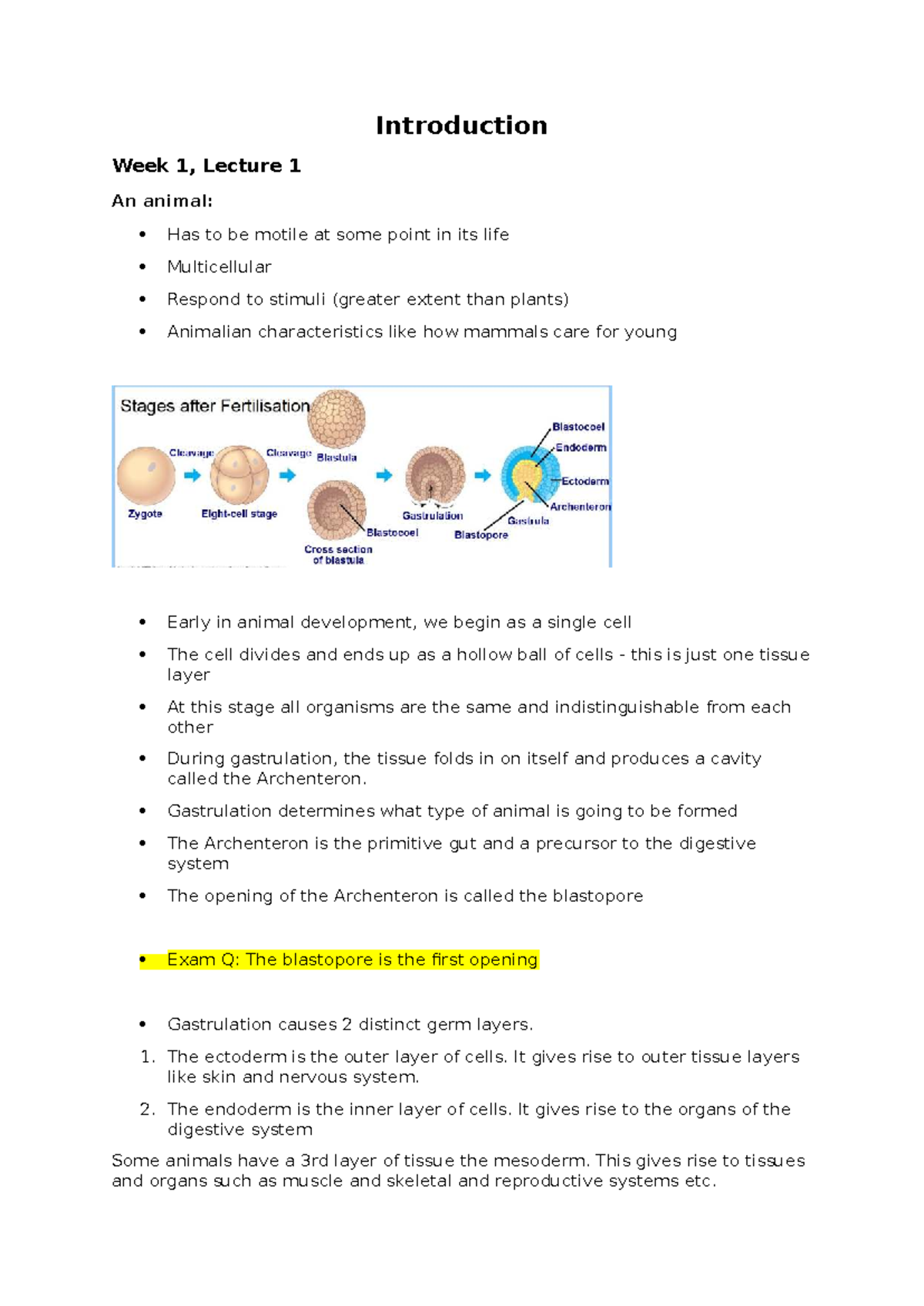 Animal Diversity - Lecture Notes from Weeks 1 to 4 (BSC 101) - Studocu