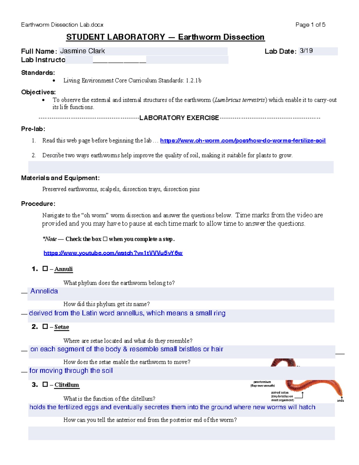DC Biology Earthworm Dissection Lab Report - Studocu