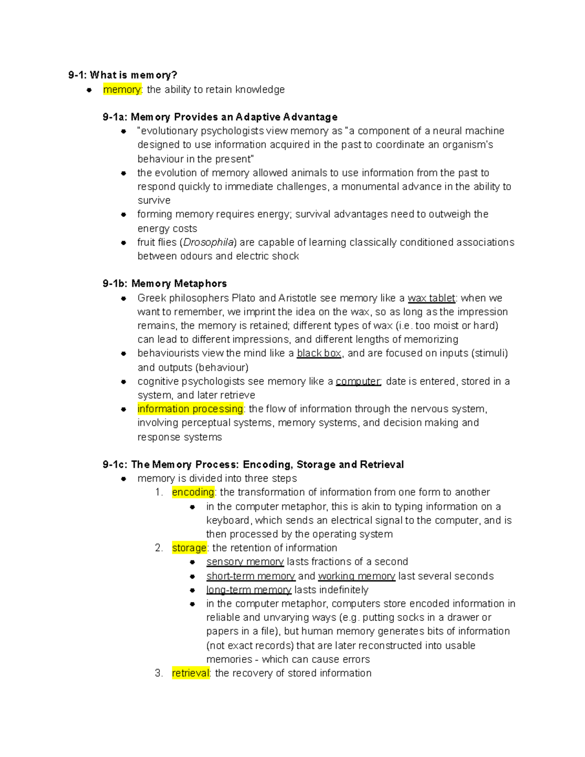 Psychology 101: Understanding Memory Processes and Theories - Studocu
