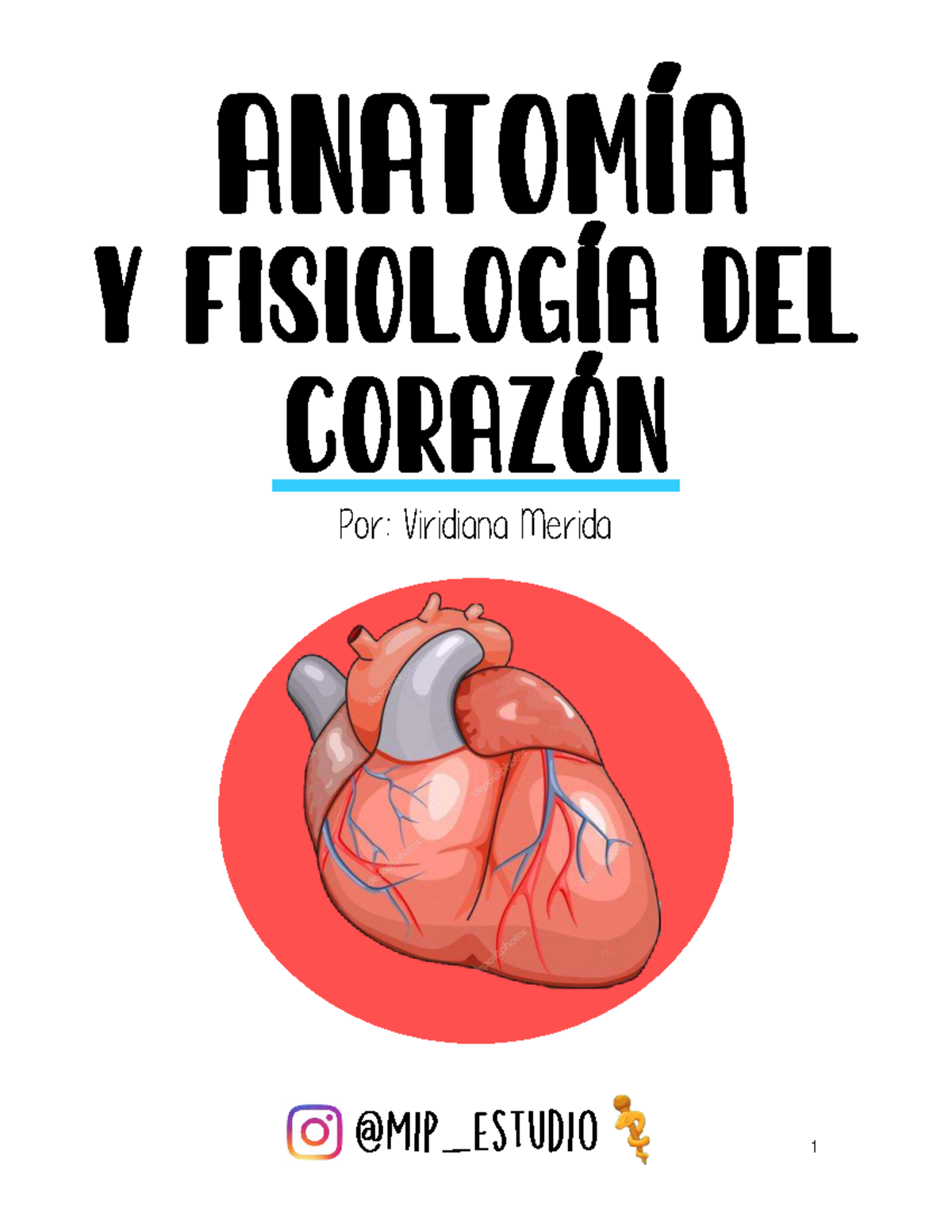 Anatomía y Fisiología del Corazón: Válvulas Semilunares y Estructura ...