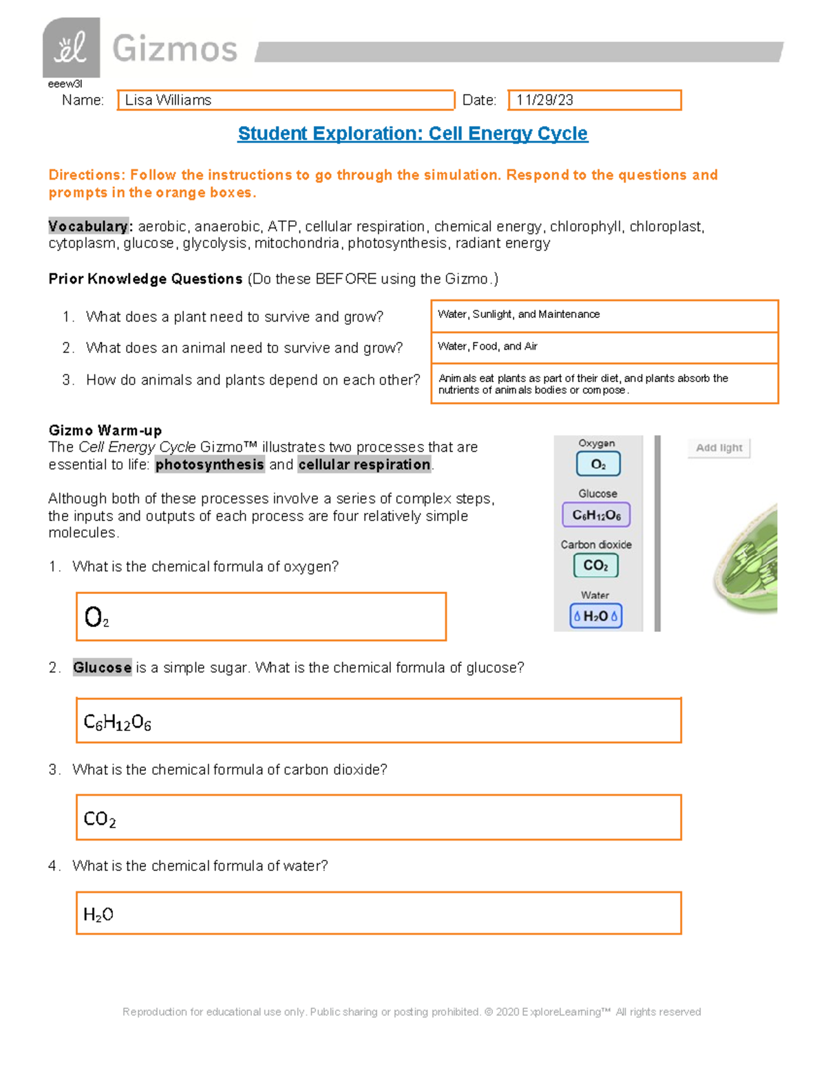 Cell Energy Cycle Exploration - Gizmo Activity Insights - Studocu