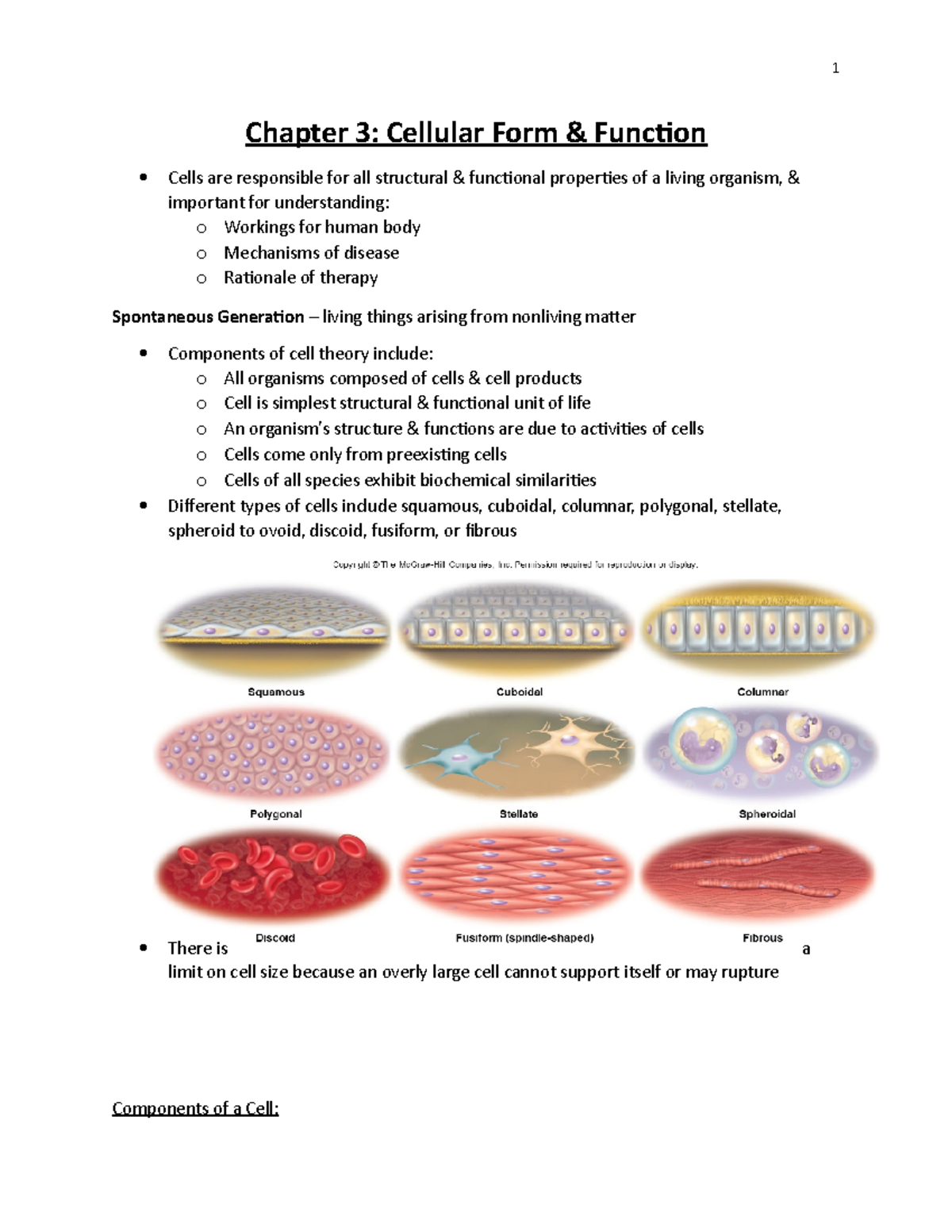 Chapter 3 Cellular Form And Function - Chapter 3: Cellular Form & Function Cells are - Studocu