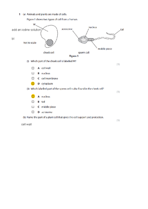 Sb5-end-of-unit-test-higher compress - Higher © Pearson Education Ltd ...