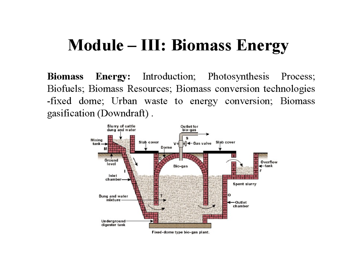 Module 3.2 Biomass Energy: Intro, Biofuels, and Conversion Methods ...