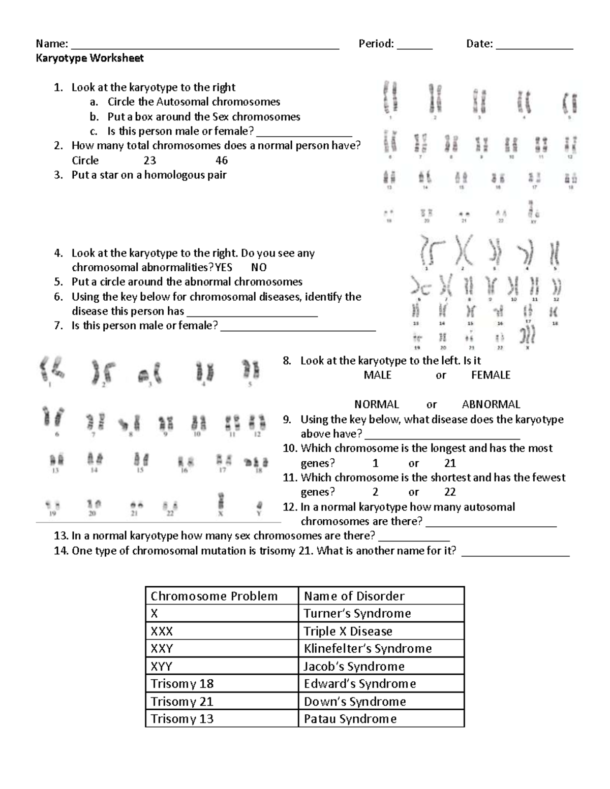 Karyotype worksheet 1 - Name ...