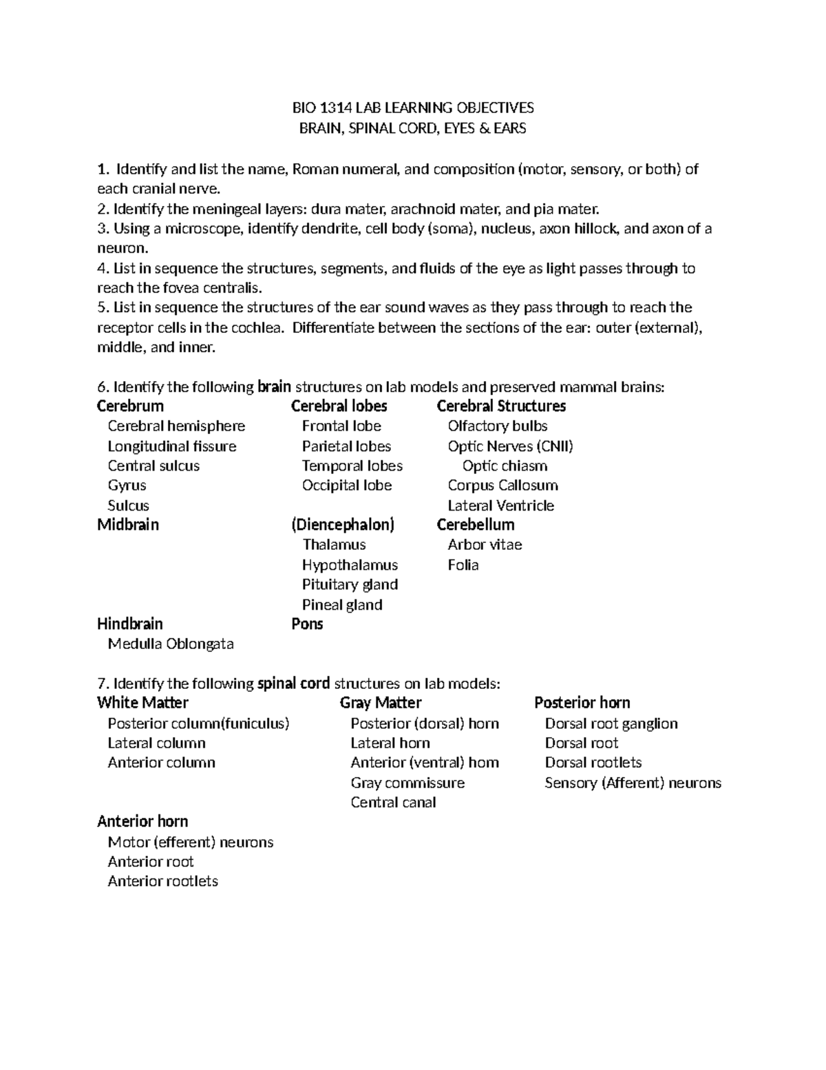 BIO 1314 Lab: Brain, Spinal Cord, Eyes & Ears Learning Objectives - BIO ...