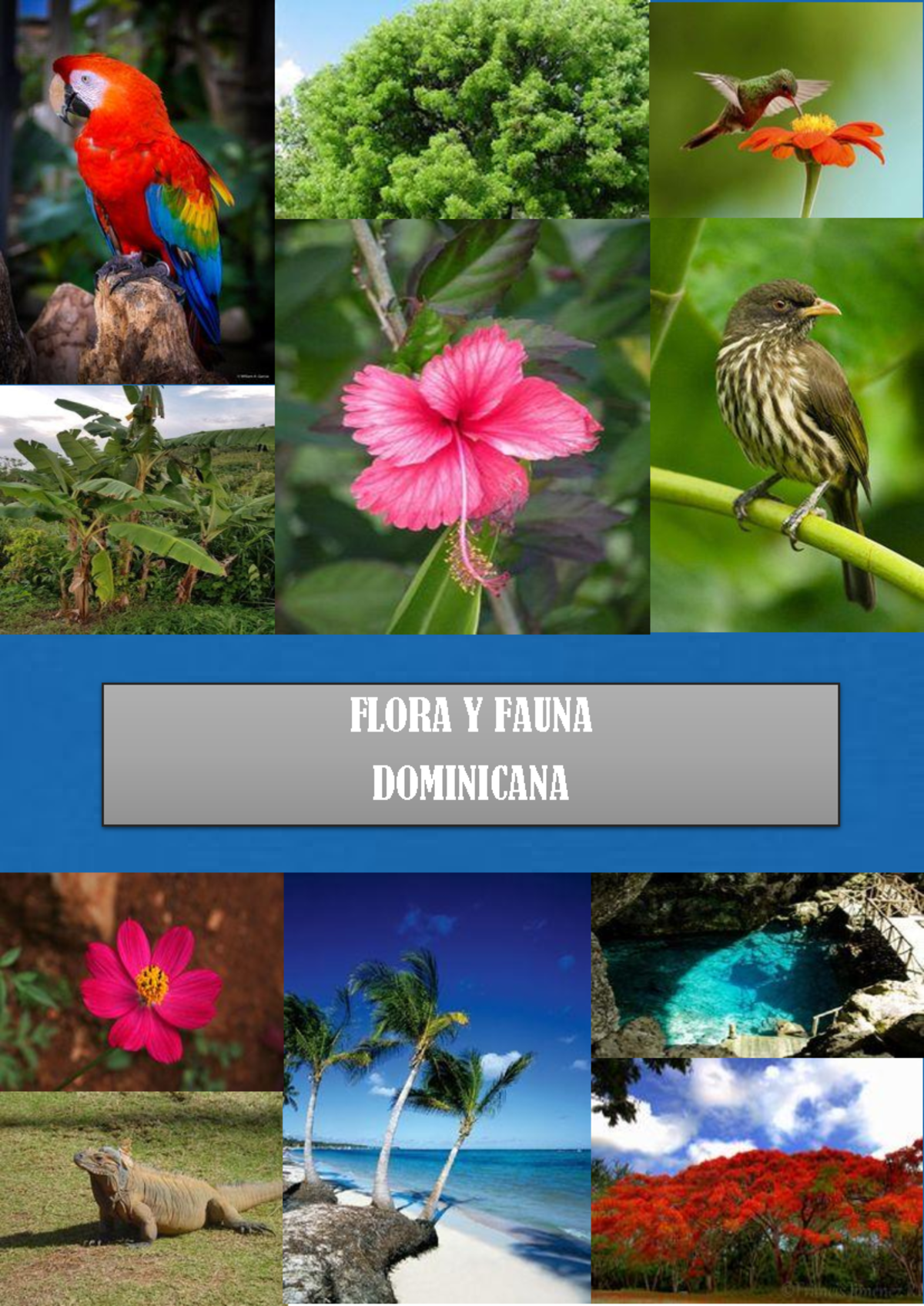 Catálogo de Flora y Fauna de la República Dominicana - Curso 1ro B ...