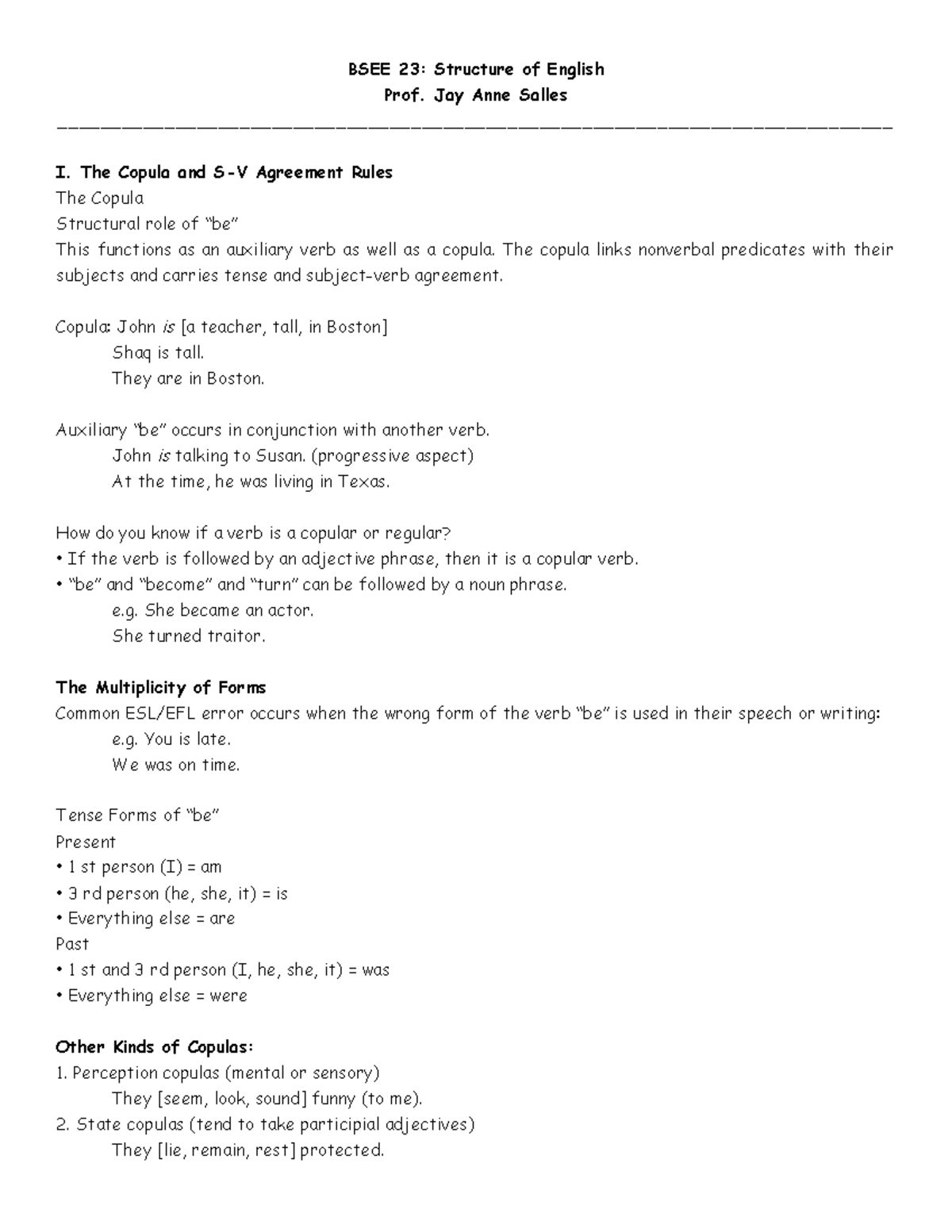 BSEE 23: Copula and Agreement Rules - Comprehensive Study Guide - Studocu