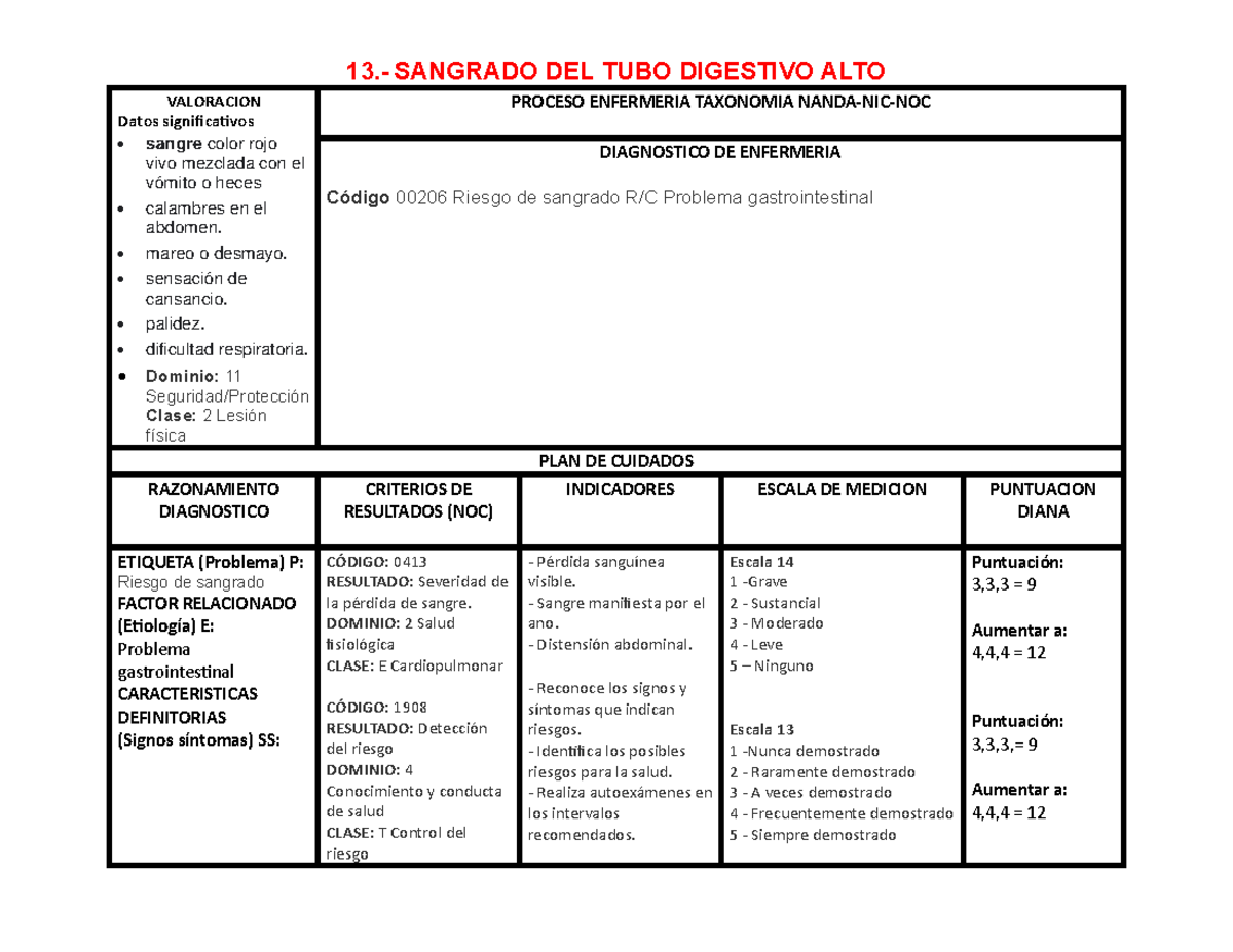 Plan de Cuidados para Sangrado en el Tubo Digestivo Alto - Código 00206 ...