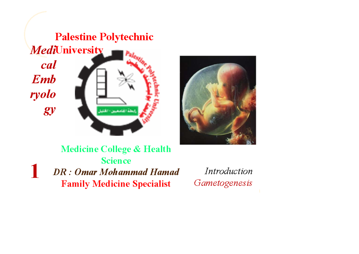 Embryology 1 introduction and gametogenesis notes for medicine course ...
