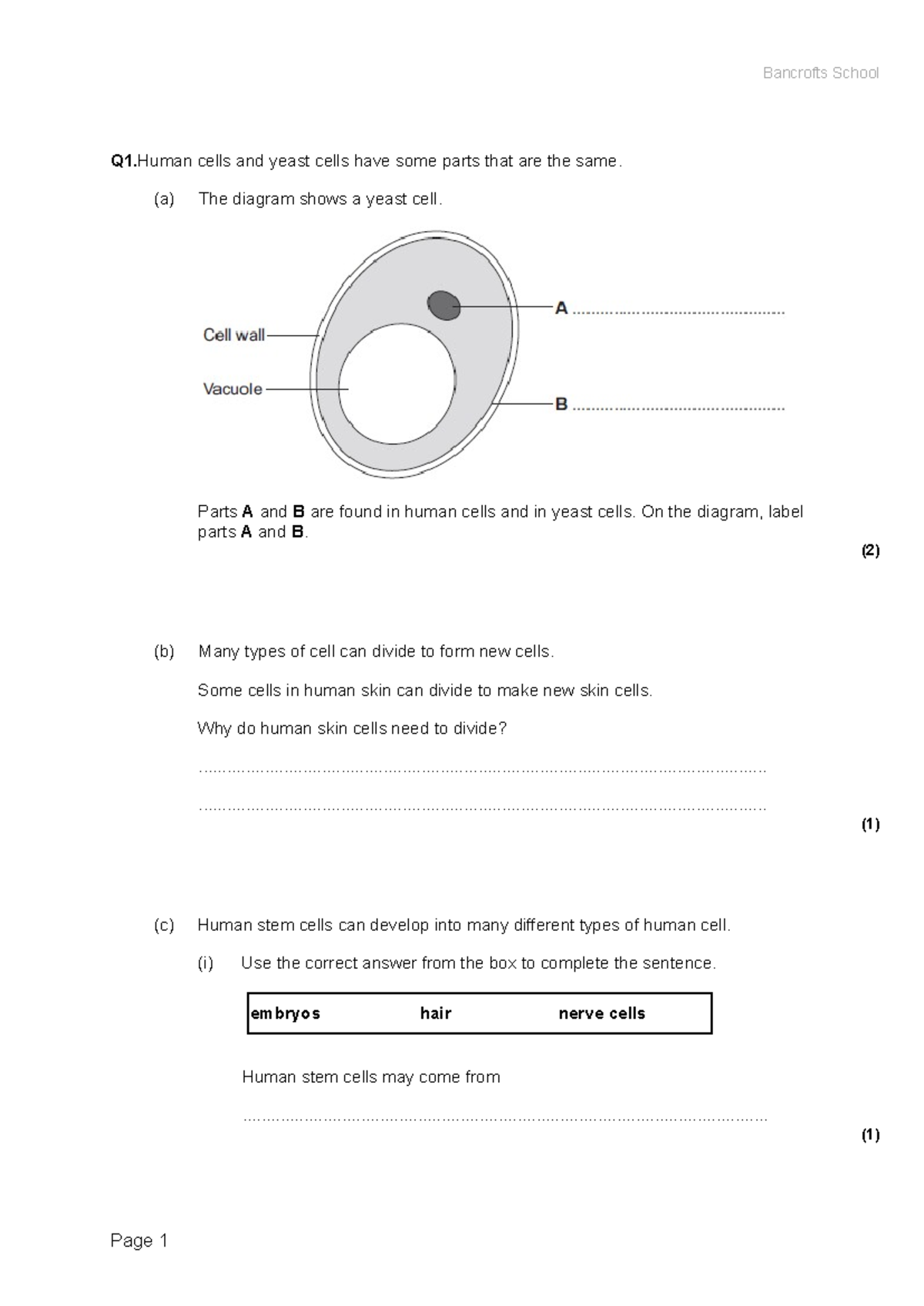 Cell Bio M1 & M2 - Quiz Questions on Cells and their Functions - Studocu