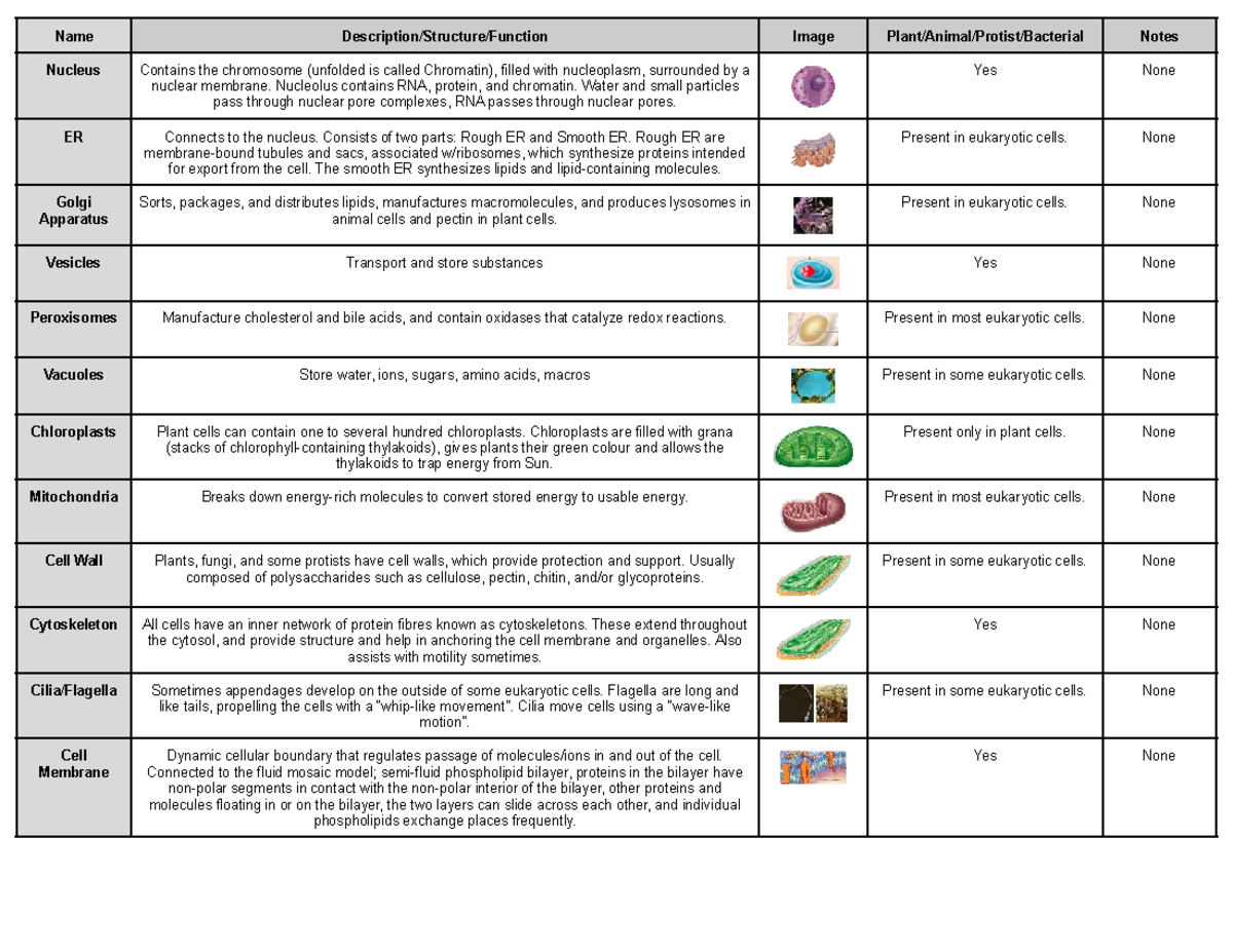 Organelles Assignment Notes for Biology 101 - Studocu