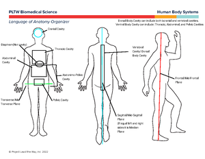 [Solved] using c to answer this prompt Given three int variables ...