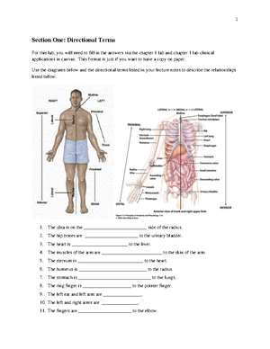 [Solved] 19yearold male BP 10070 pulse 102 bpm respirations elevated ...