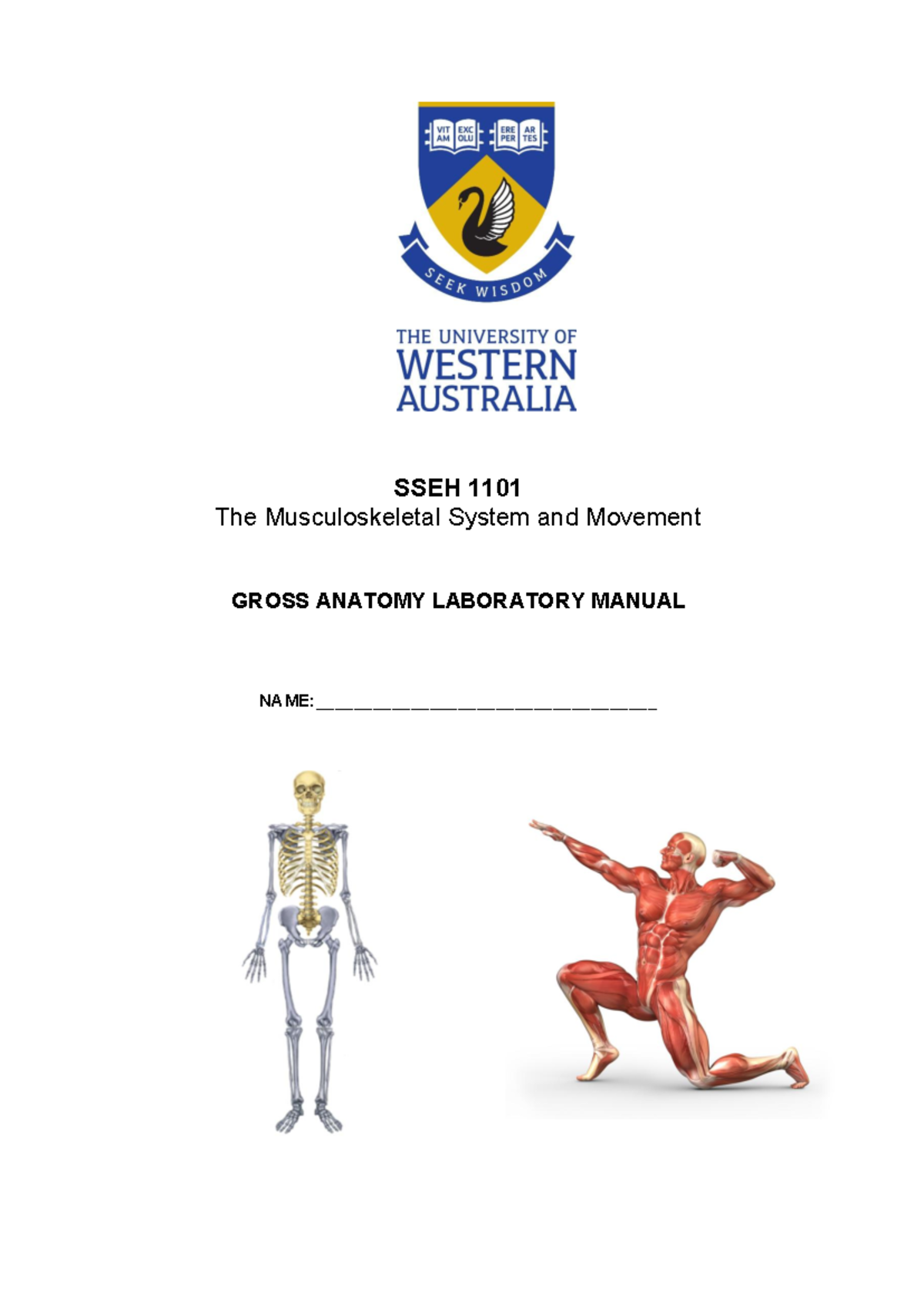 SSEH 1101 Gross Anatomy Lab Manual: Musculoskeletal System Overview ...
