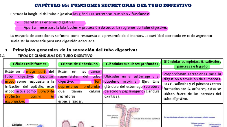 Patologia del tubo digestivo guyton hall - CAPÍTULO 65: FUNCIONES SECRETORAS DEL TUBO DIGESTIVO ...
