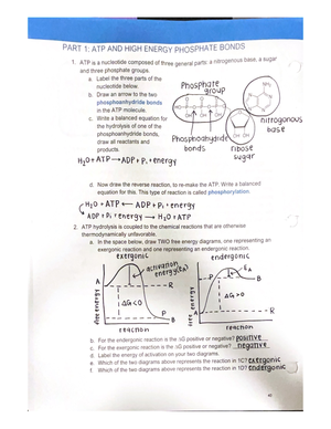 AP Biology Virtual Pre-lab Bacterial Transformation 2021 - Nimisha ...