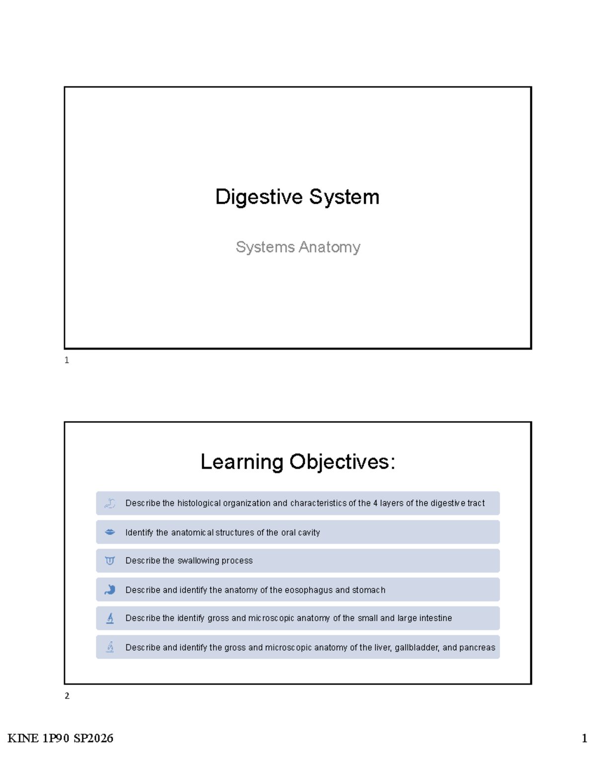 KINE 1P90 SP2026 Digestive System Anatomy and Functions Overview - Studocu