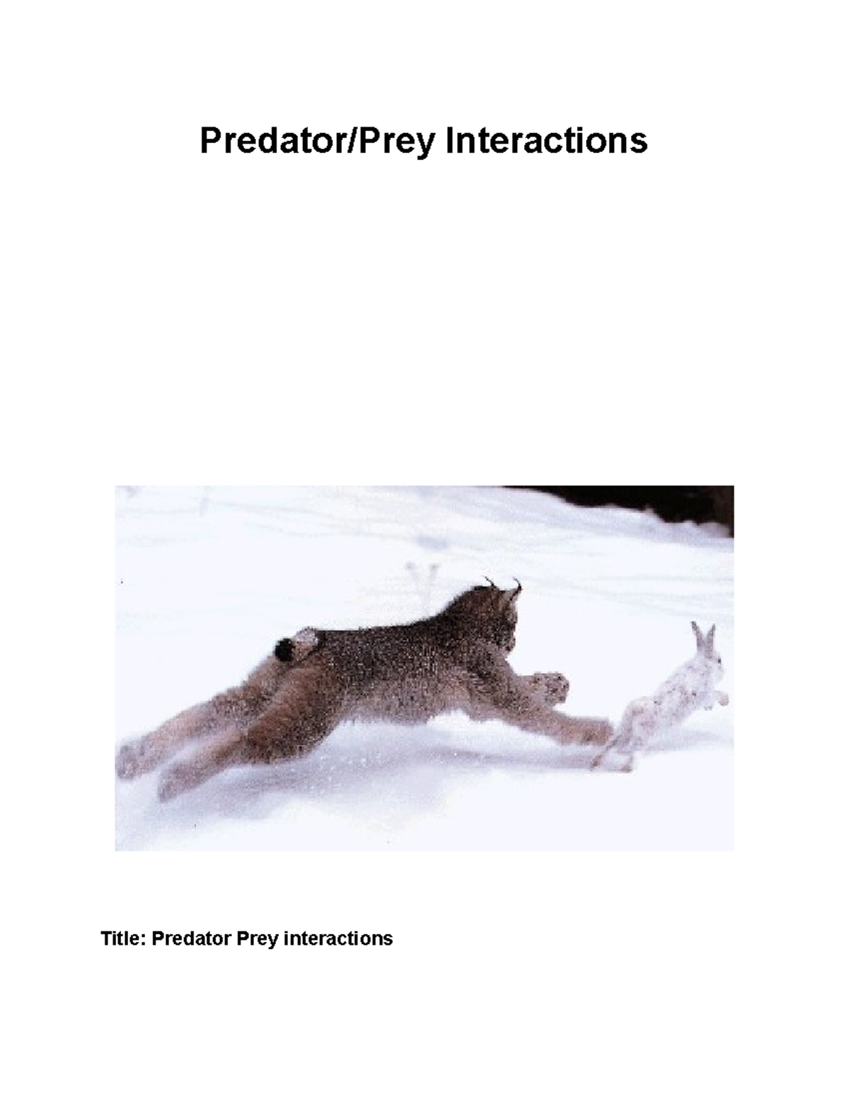 Predator prey new lab 1 - Predator/Prey Interactions Title: Predator ...