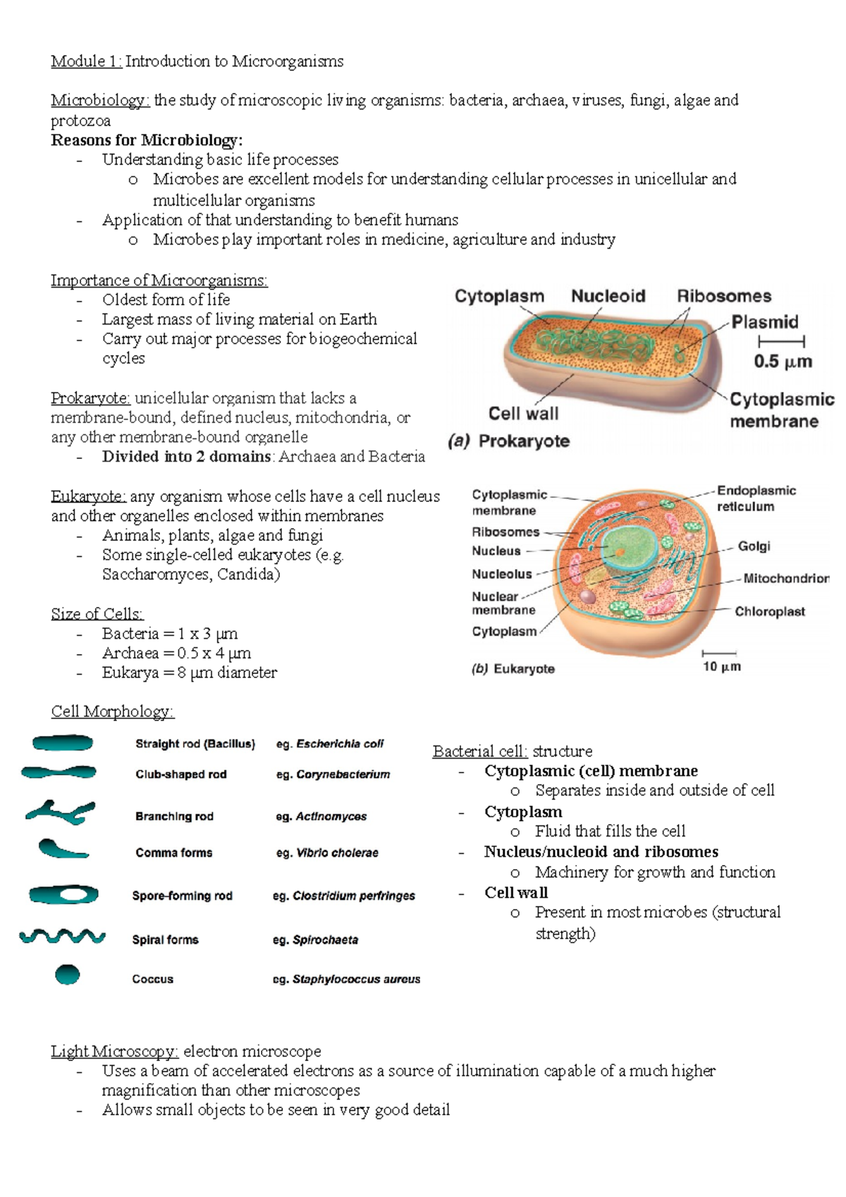 Module 1 - Module 1: Introduction to Microorganisms Microbiology: the ...
