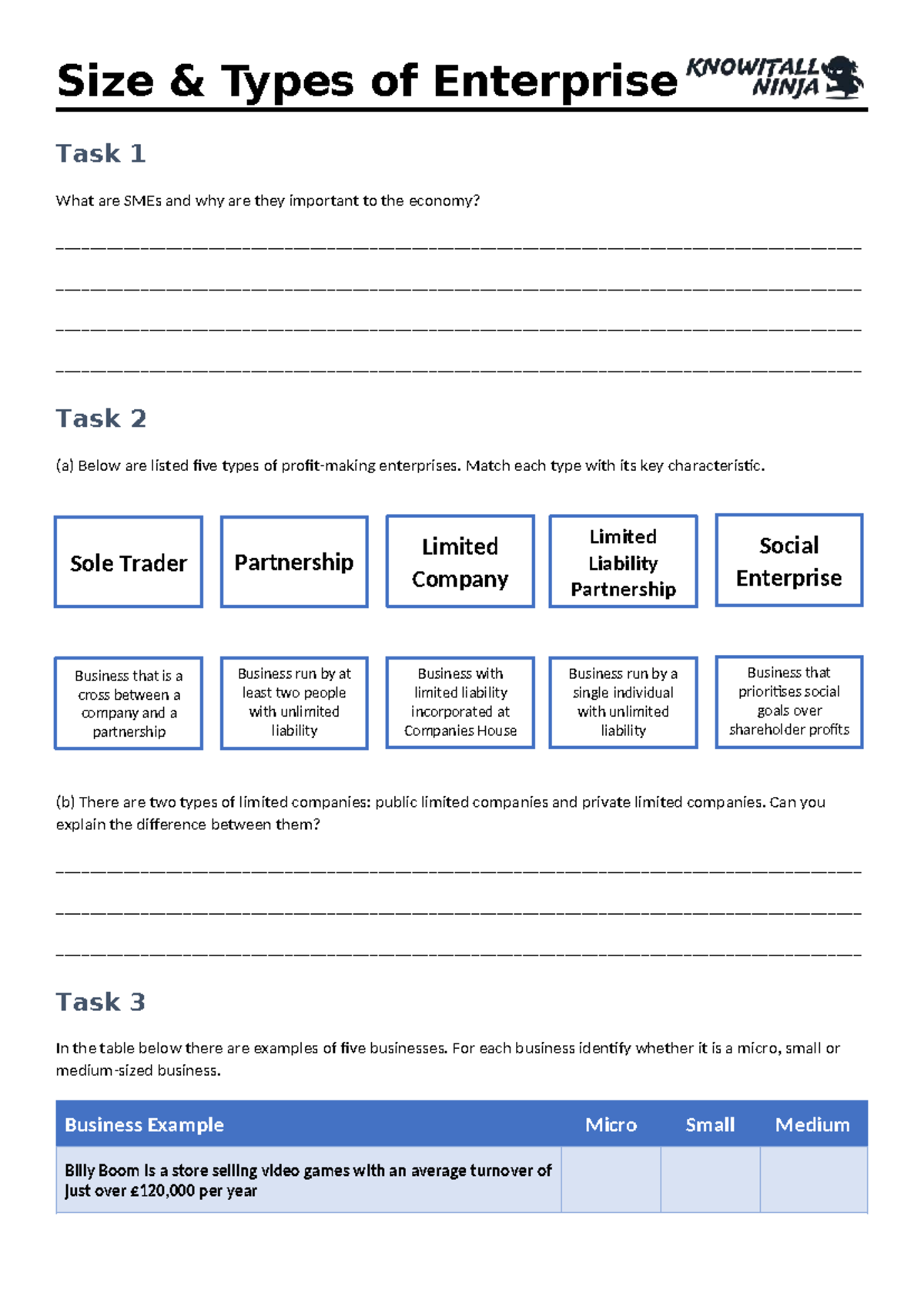 01 Size & Types of Enterprise Worksheet: SMEs & Business ...