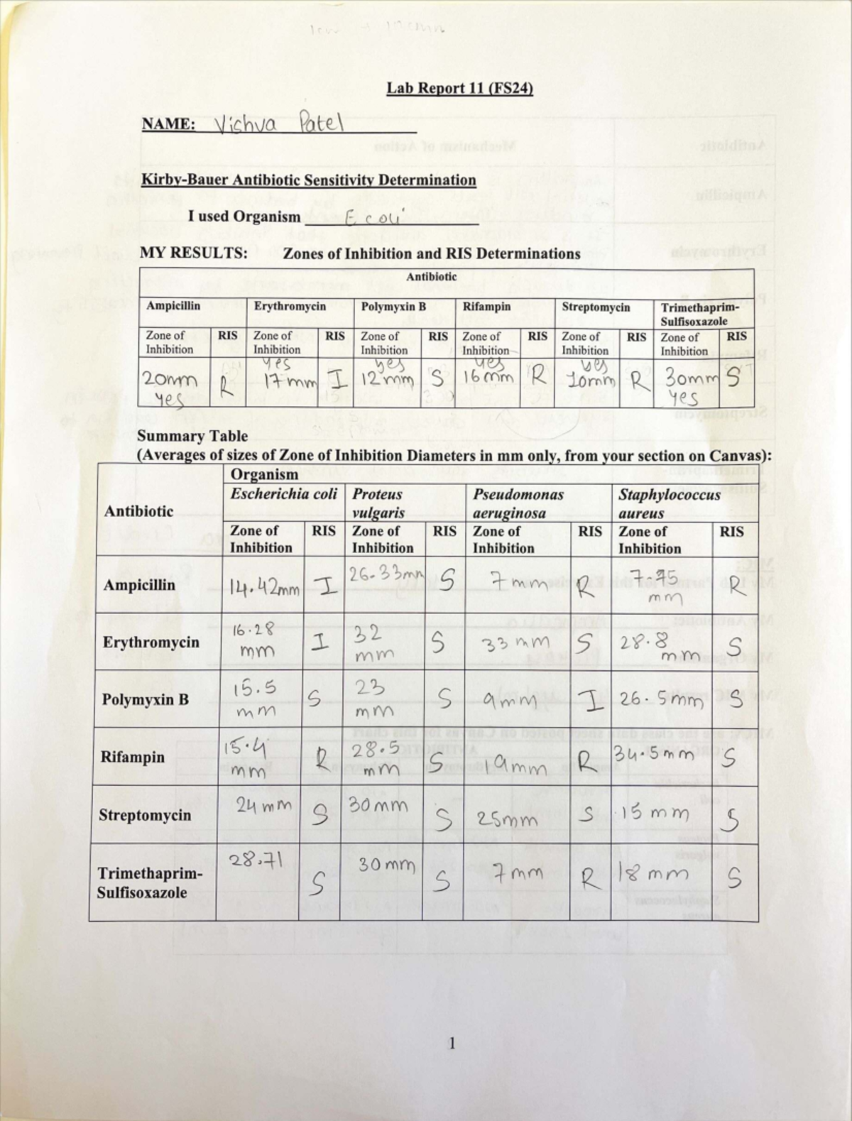 Lab Report 11 (FS24): Antibiotic Sensitivity of E. coli - Studocu