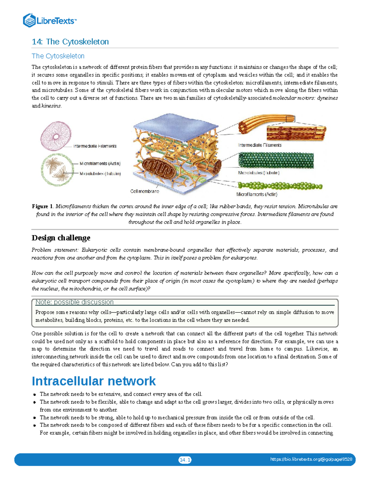The Cytoskeleton: Functions, Types, and Molecular Motors - Bio 14 ...