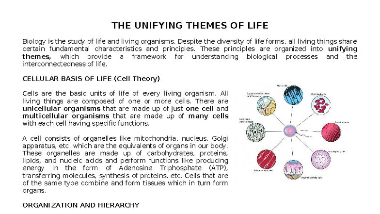 Attachment B The Unifying Themes of Life - THE UNIFYING THEMES OF LIFE ...