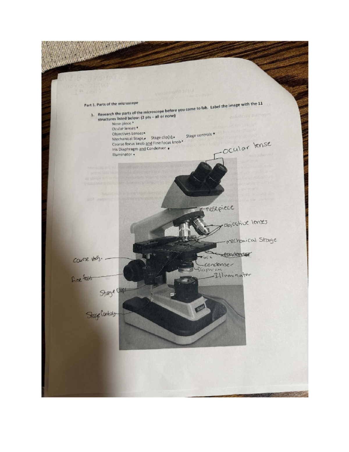Microscope Lab (BIO 101): Parts, Magnification, and Field of View - Studocu